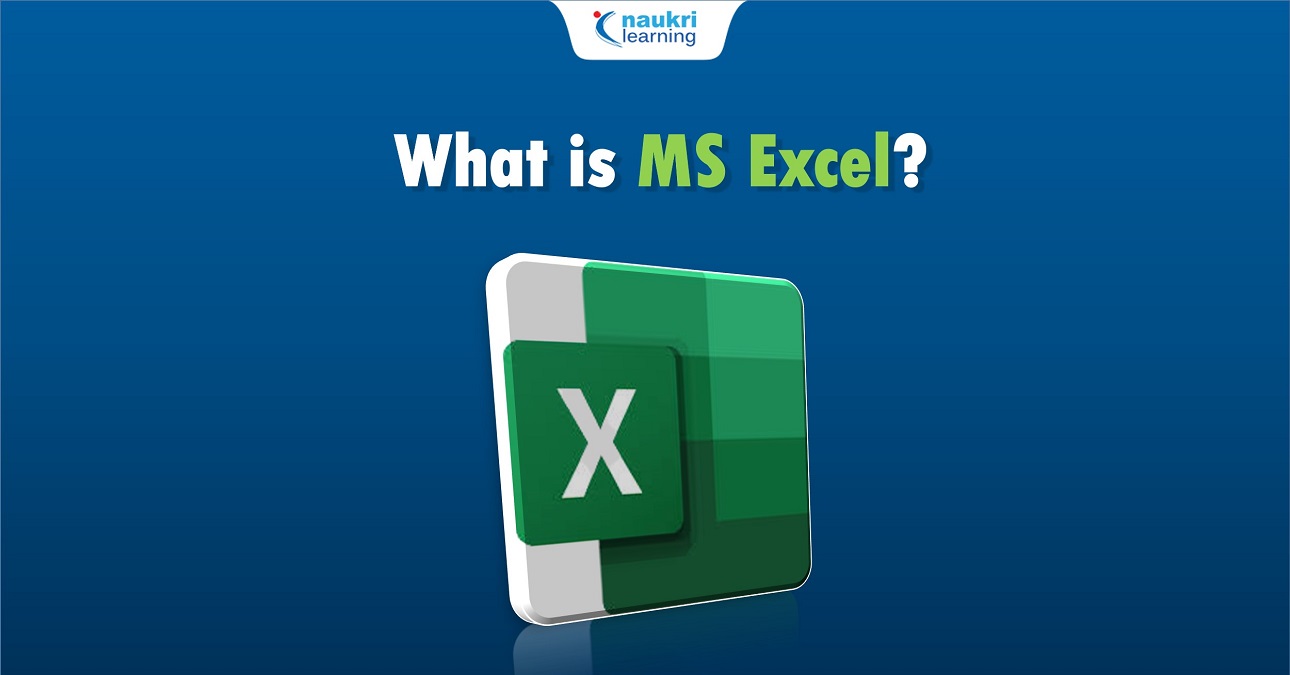 What Is MS Excel