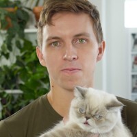 JavaScript Algorithms and Data Structures Masterclass by UDEMY: Fee, Review, Duration | Shiksha ...